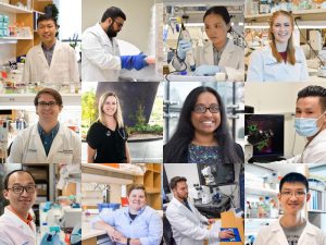 Home - Children's Medical Center Research Institute (CRI) | Dallas Texas