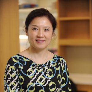 Hao Zhu - Children's Medical Center Research Institute (CRI) | Dallas Texas