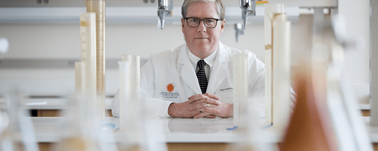 Stem cell biologist Sean Morrison elected to the National Academy of ...