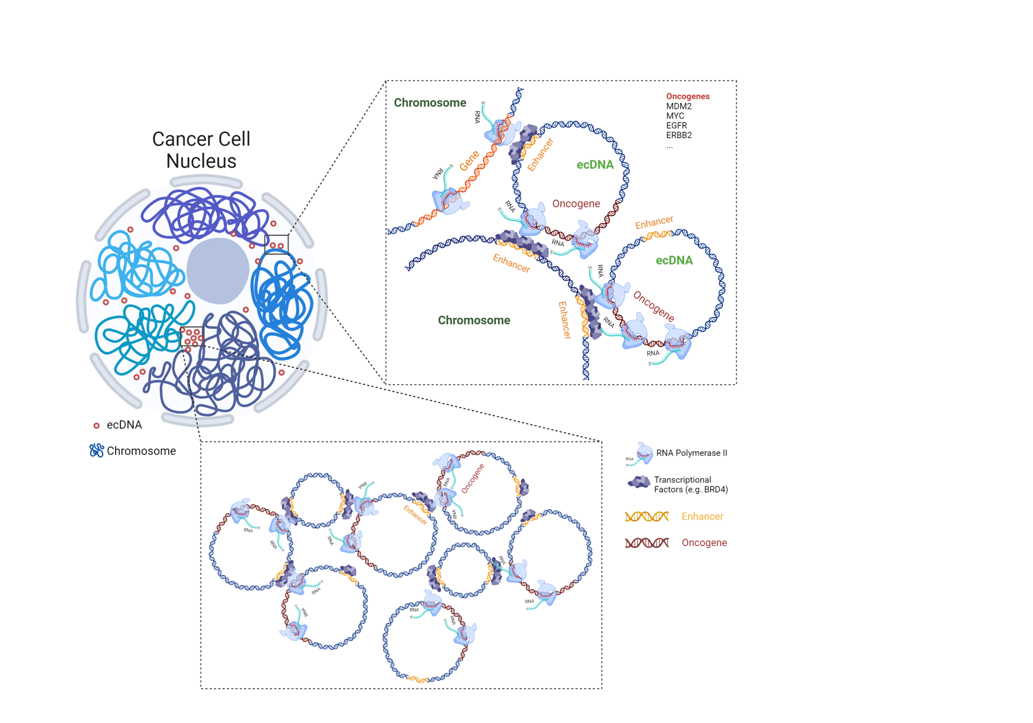 Yoon Jung Kim - Children's Medical Center Research Institute (CRI ...