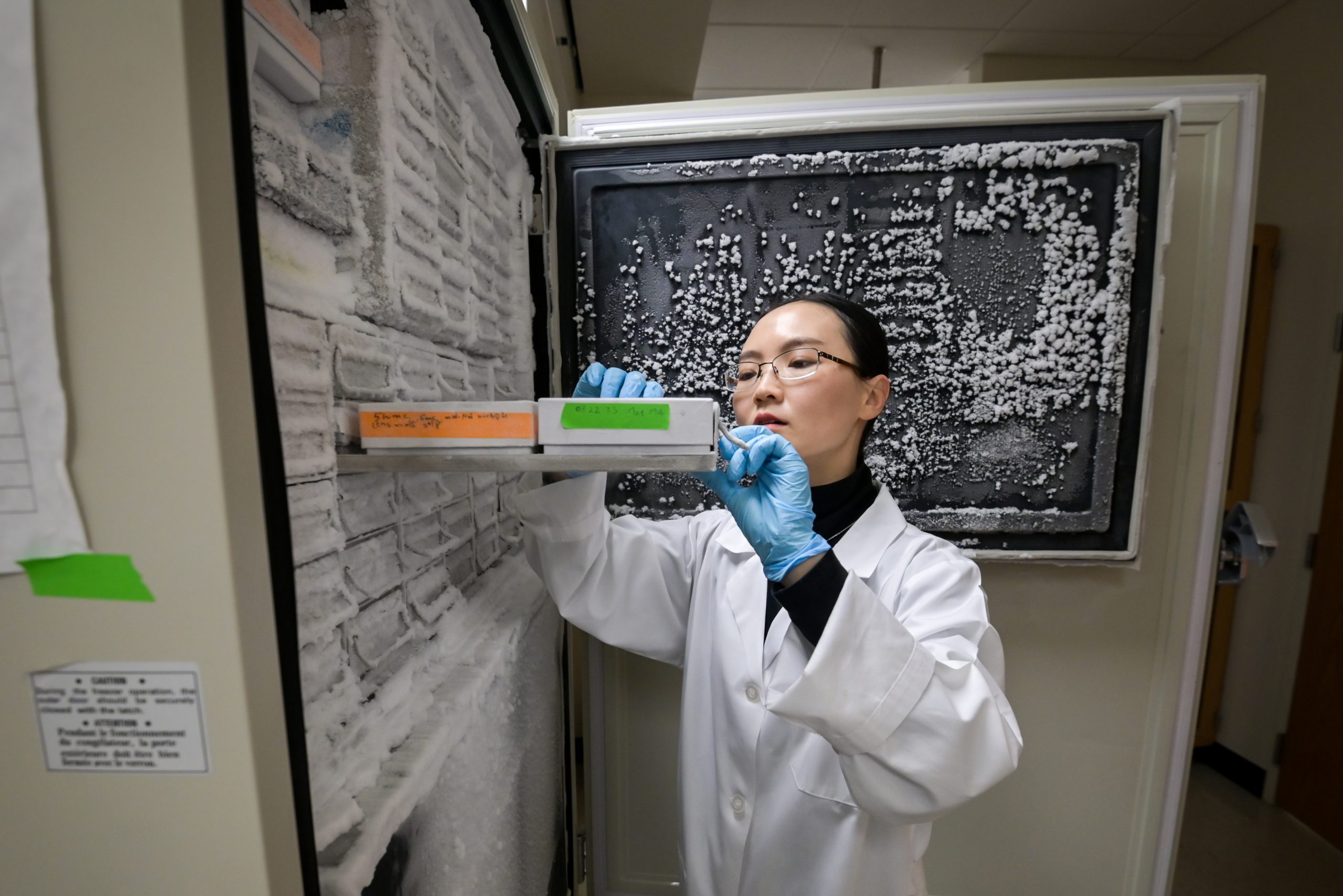 Li receives 2024 ASH Scholar Award to research stem cells - Children's ...