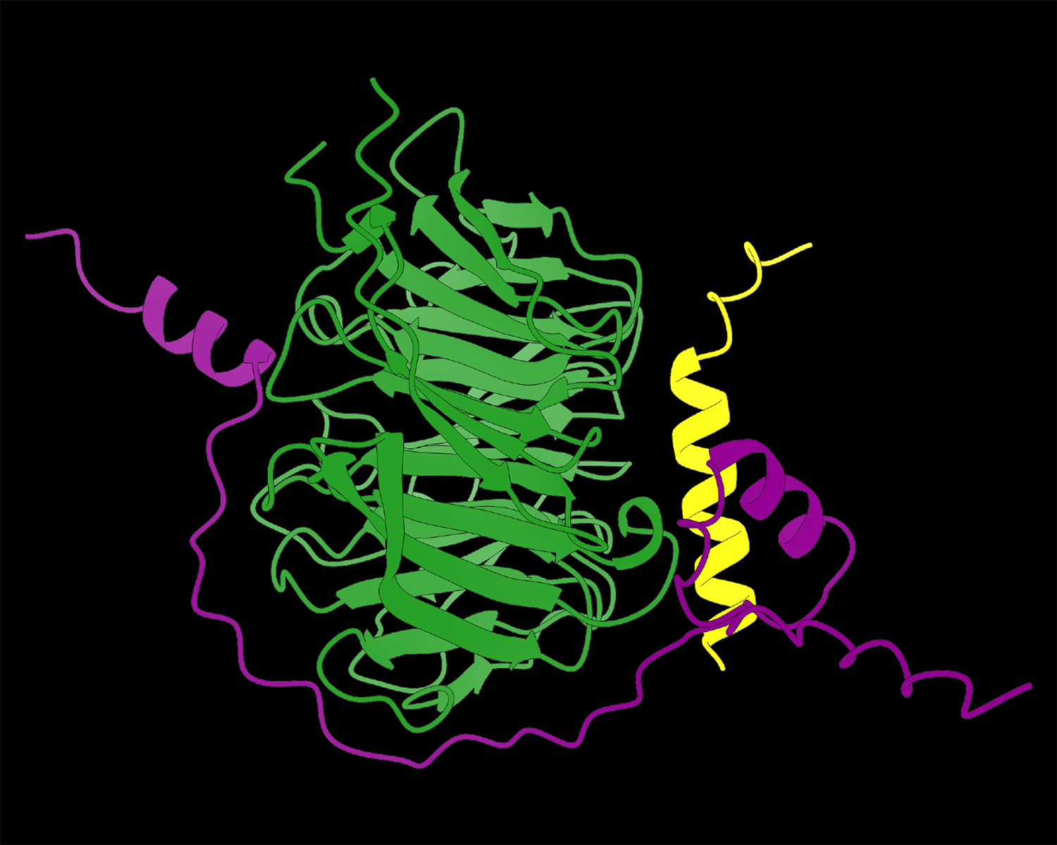 DeBerardinis Lab discovers first human peroxin in 20 years - Children's ...